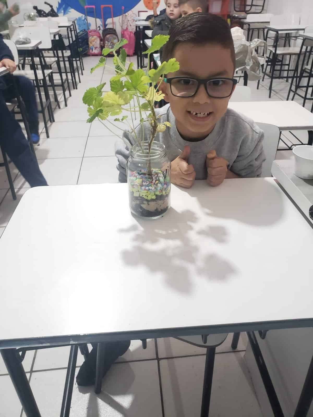 Estudando sobre as plantas e suas partes fazendo um terrario - Colégio ...